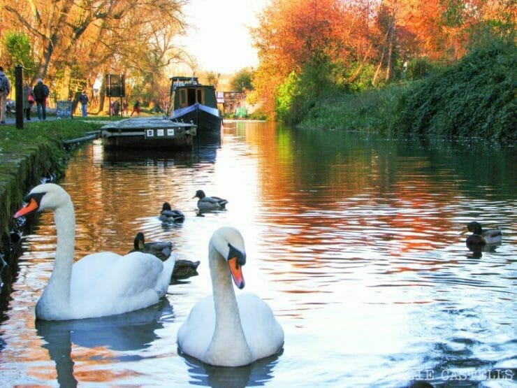 Guía para visitar Edimburgo en otoño - Festivales y excursiones