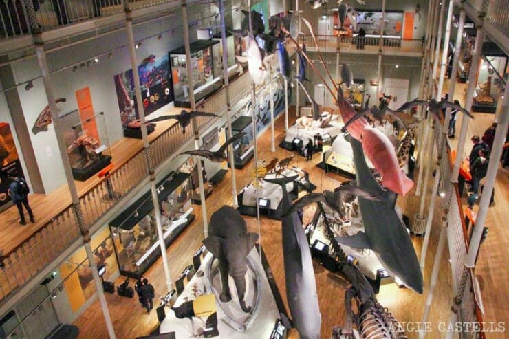 El Museo Nacional de Escocia, un museo fascinante en Edimburgo