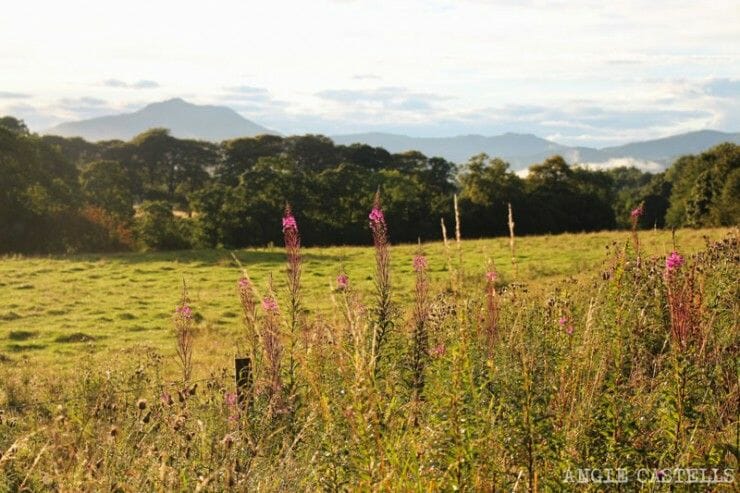 Ruta por las Highlands de Escocia en 3 días (por libre)