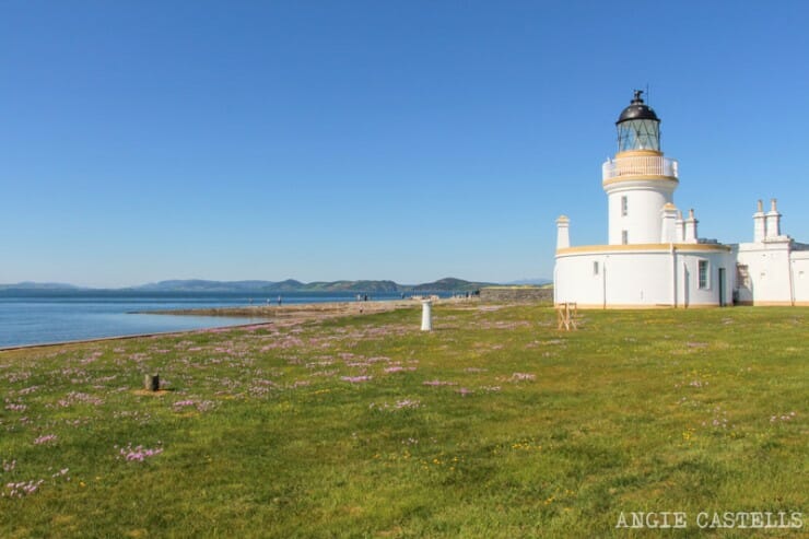 Chanonry Point: cómo ver delfines en Escocia muy cerca de Inverness